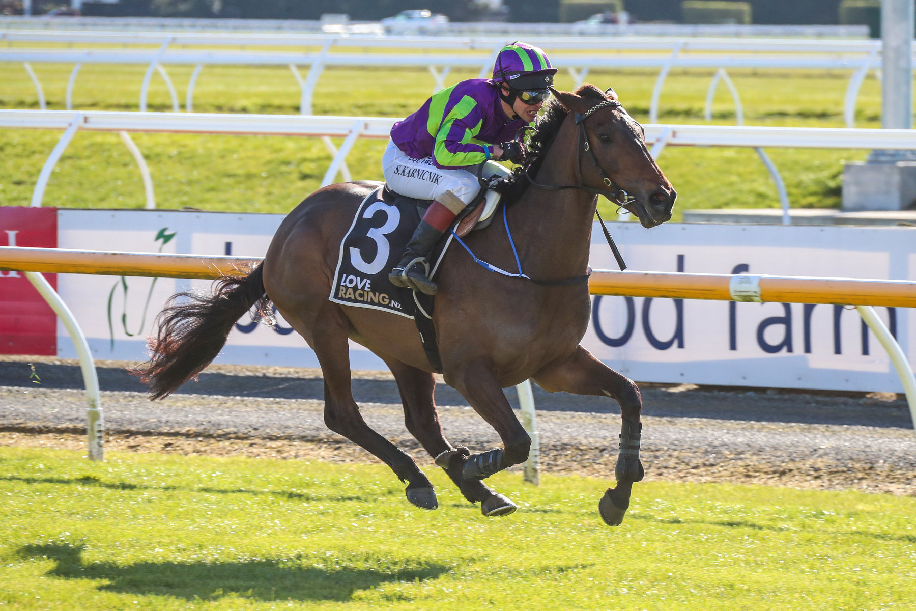 lord-spencer-clears-maiden-ranks-wanganui-jockey-club